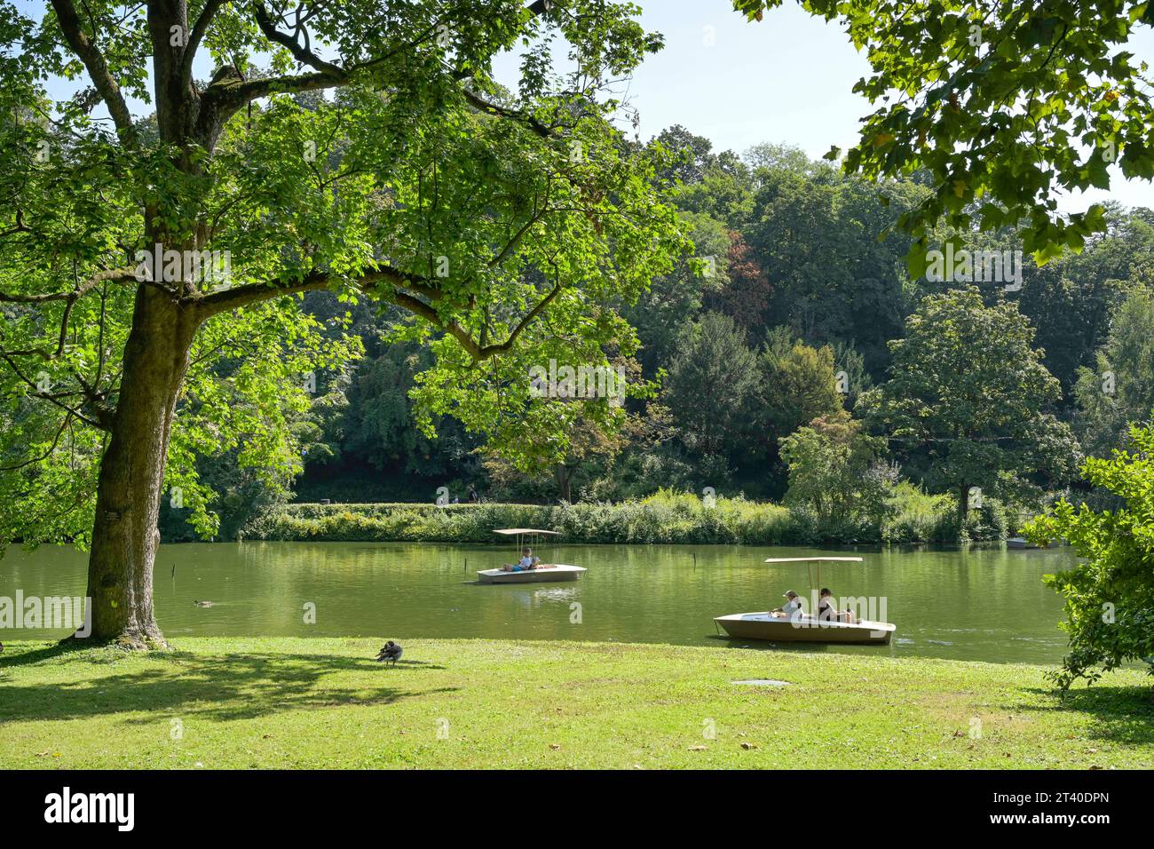 Zoo kanal hi-res stock photography and images - Alamy