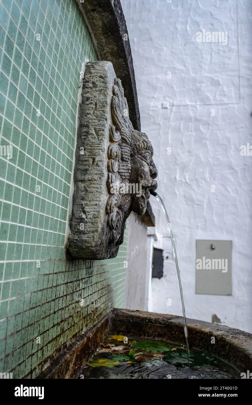 Gargoyle spitting water Stock Photo - Alamy