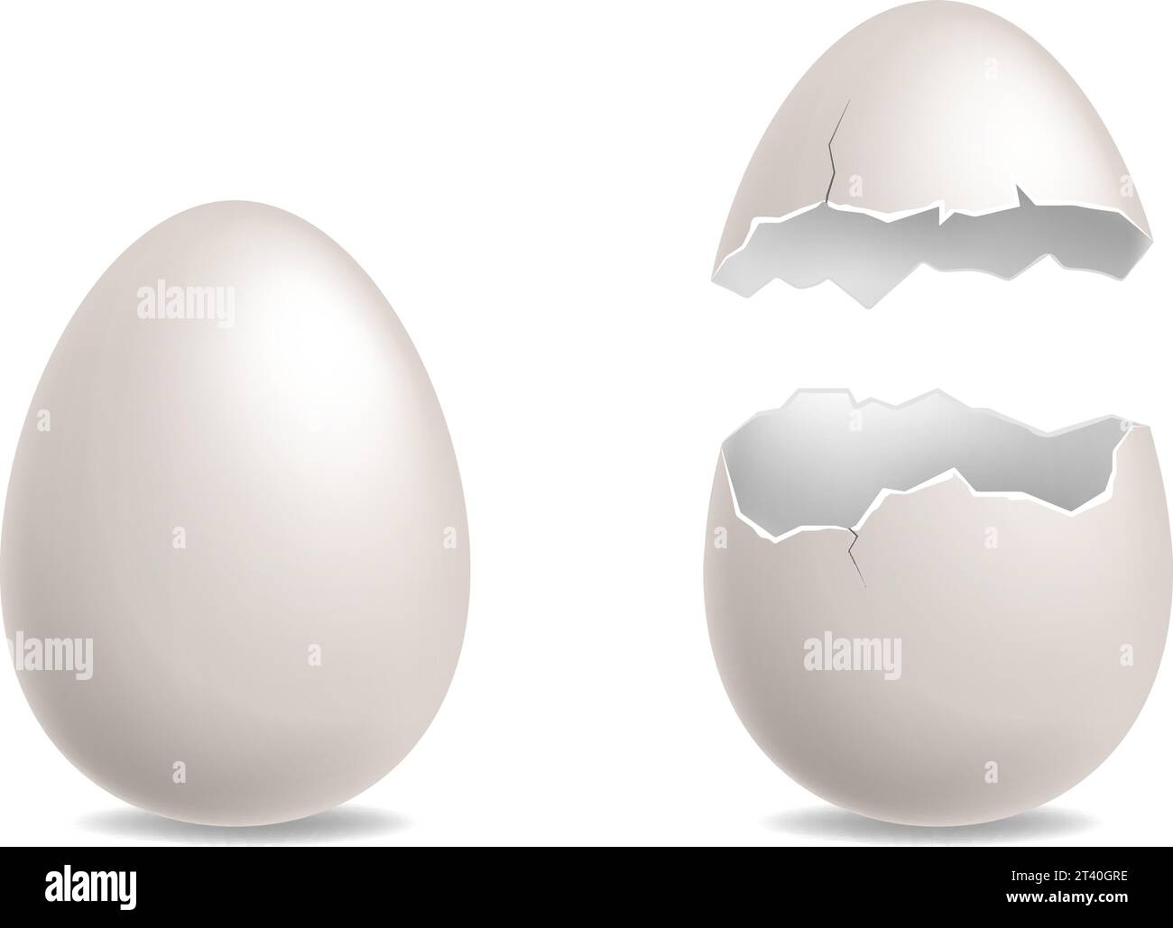 Egg cracked. White chicken eggs realistic, whole and broken element. Cracks and debris eggshell ...