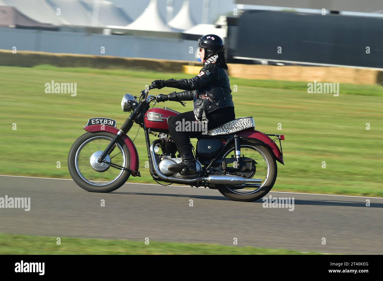1958 Triumph 500cc, Track Parade - Motorcycle Celebration, circa 200 bikes featured in the ...