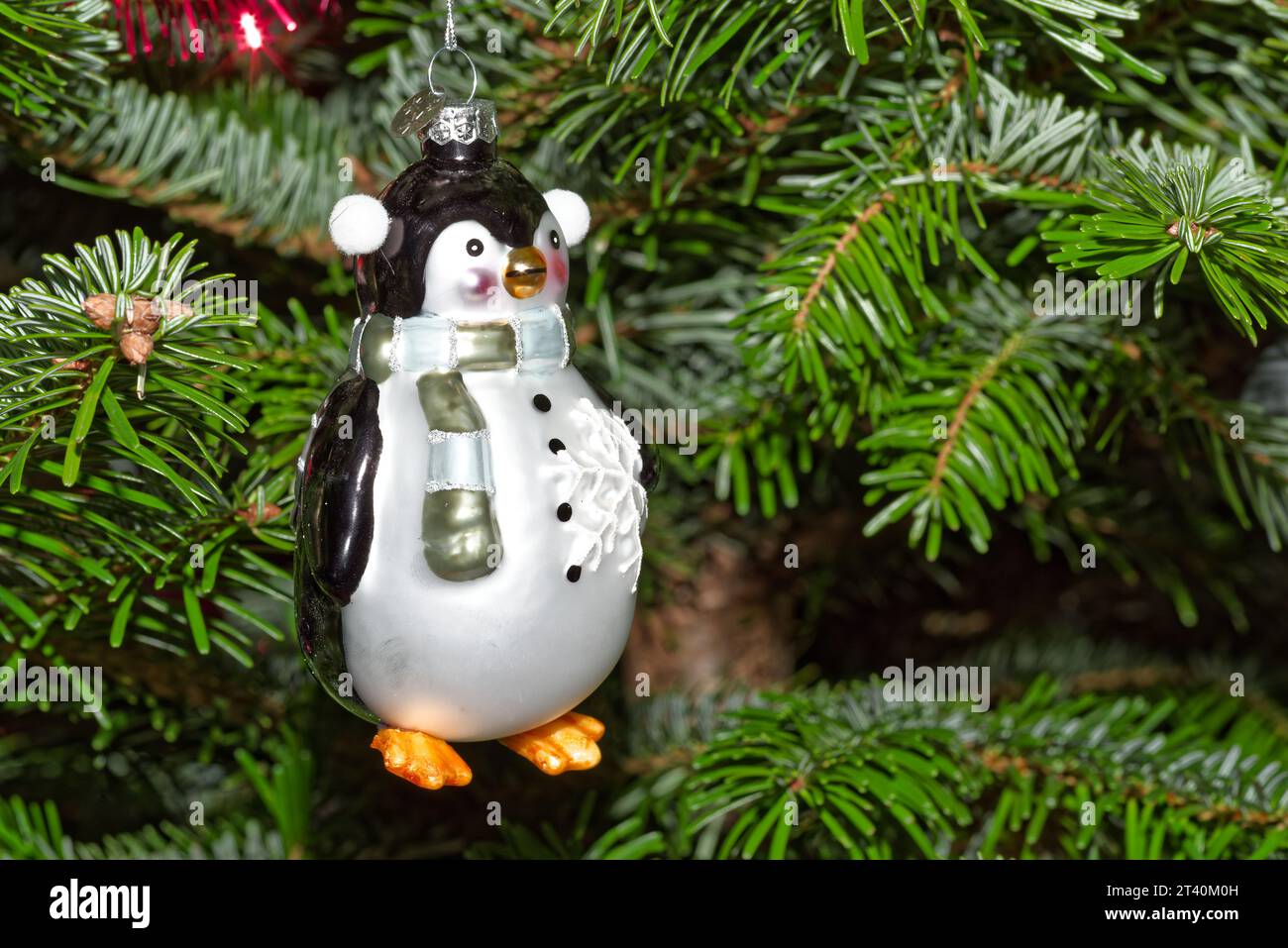 Close-up of penguin hanging on Cristmas tree agains green branches ...