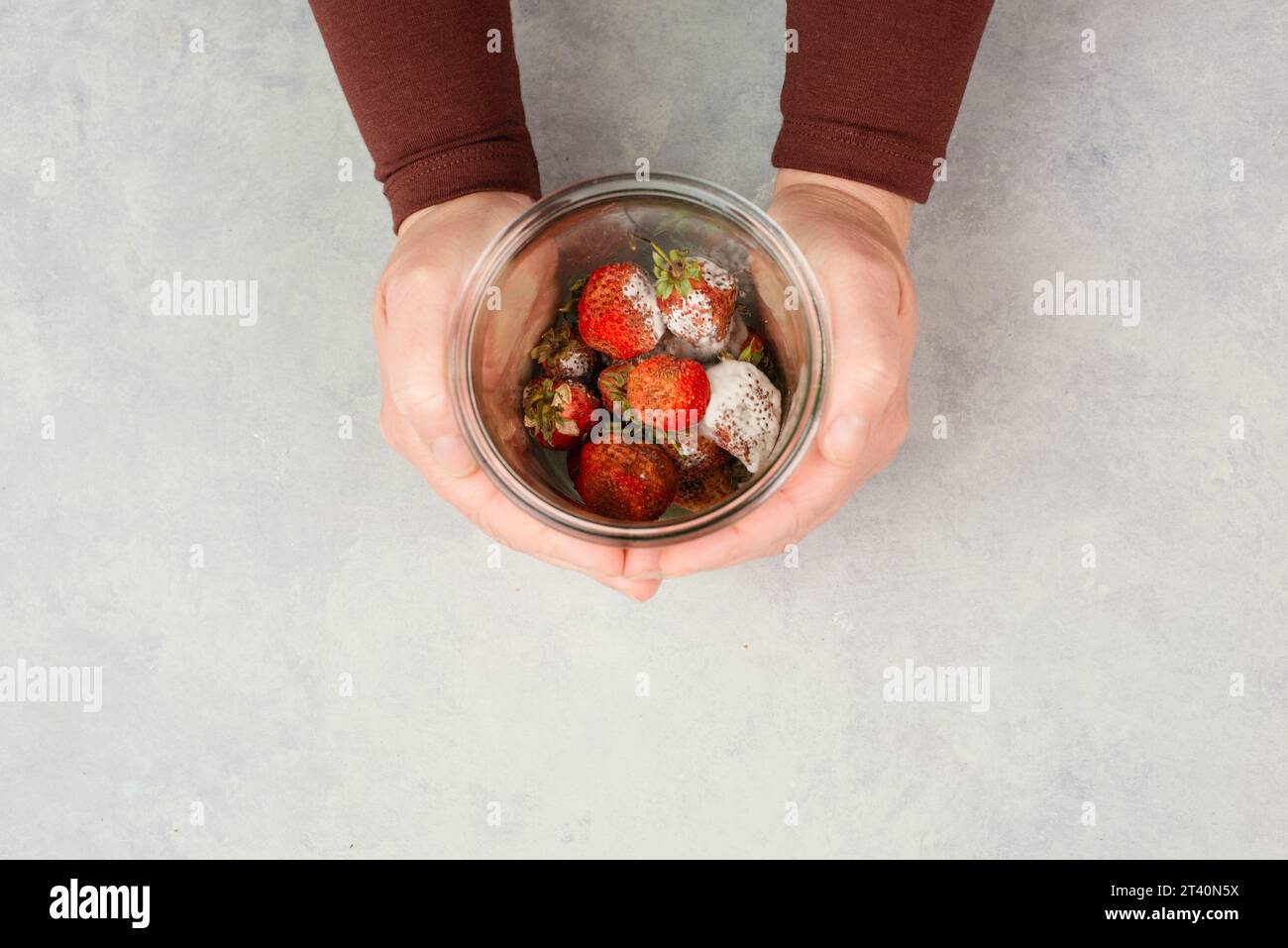 Moldy strawberry fruits with spot fungus in a jar, rotten strawberries ...