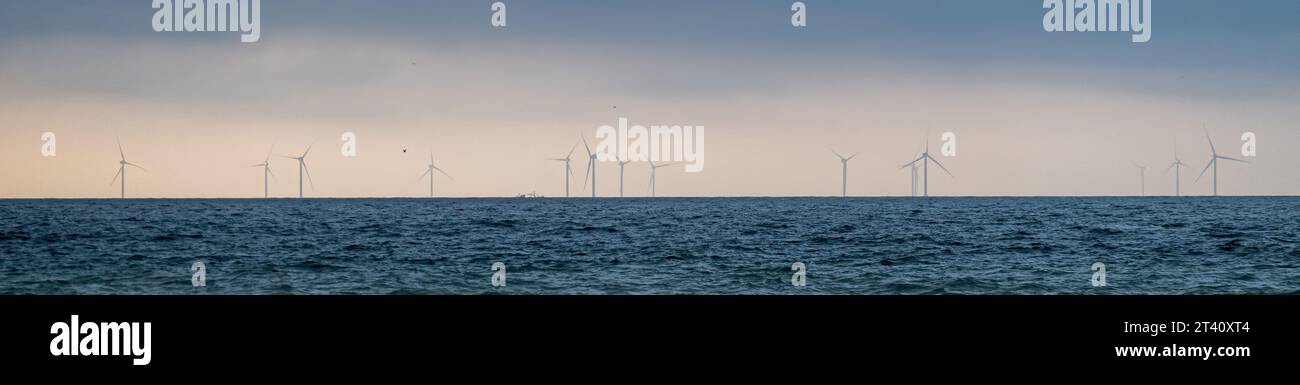 Offshore wind power or offshore wind energy at sea in Den Haag, The ...