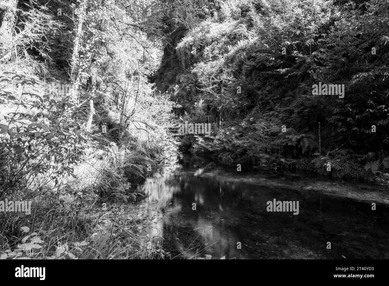 The river Lyd at Lyford Gorge in Devon Stock Photo - Alamy
