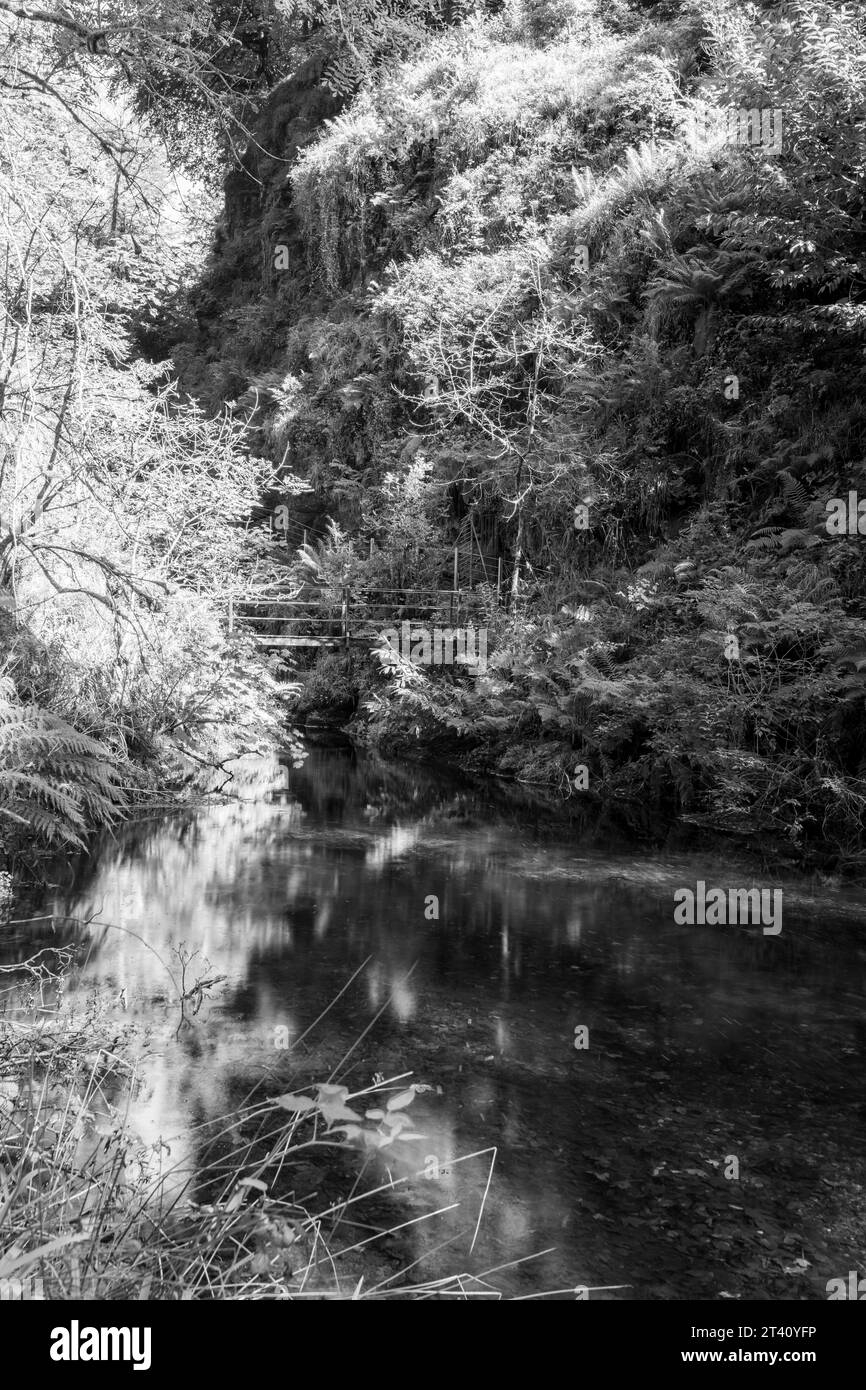 The river Lyd at Lyford Gorge in Devon Stock Photo - Alamy