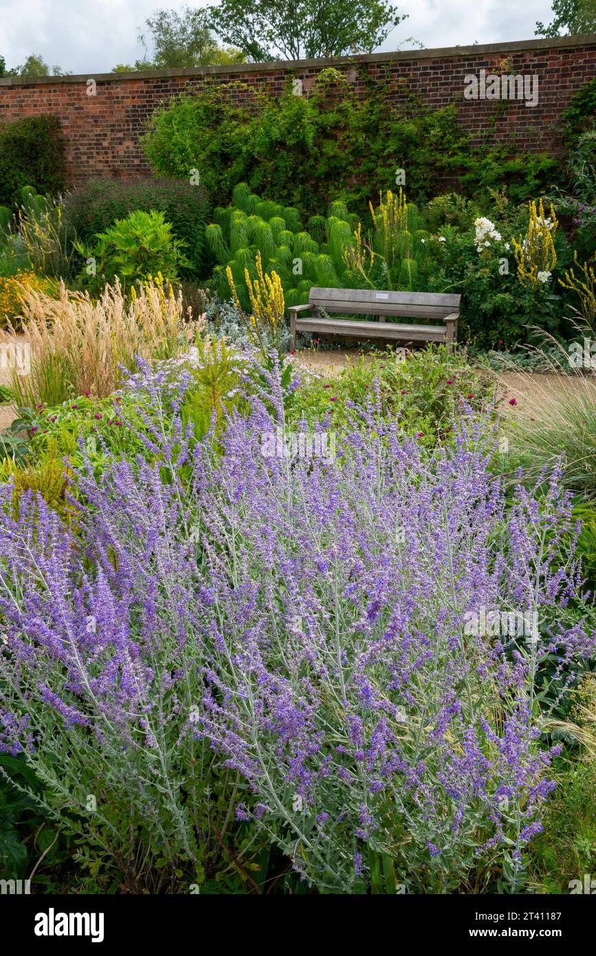 Summer planting in the Paradise Garden at RHS Bridgewater, Worsley ...