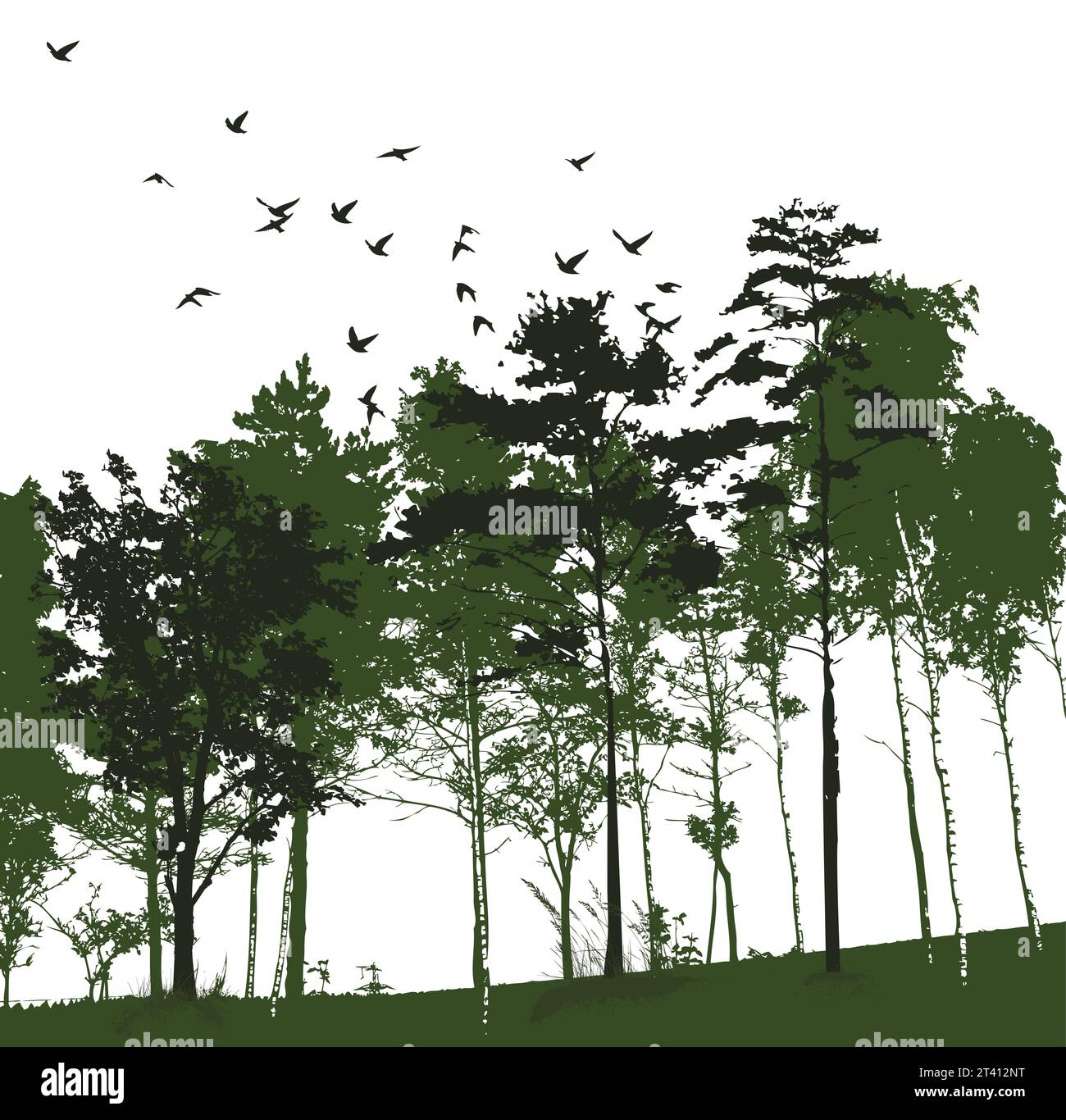 Pine trees with figure garden Stock Vector Images - Alamy
