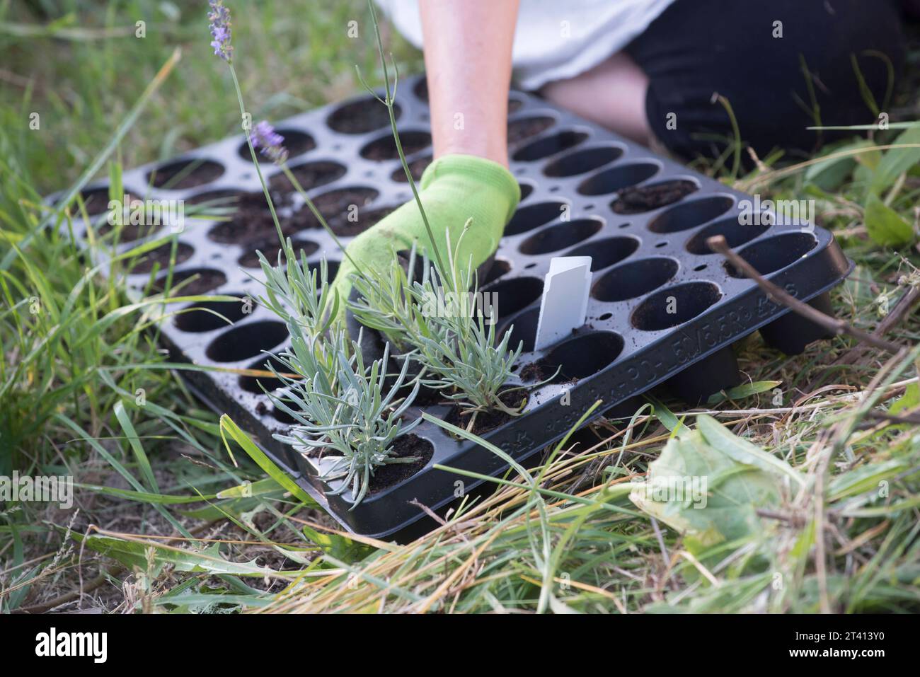 Masse der erde hi-res stock photography and images - Alamy