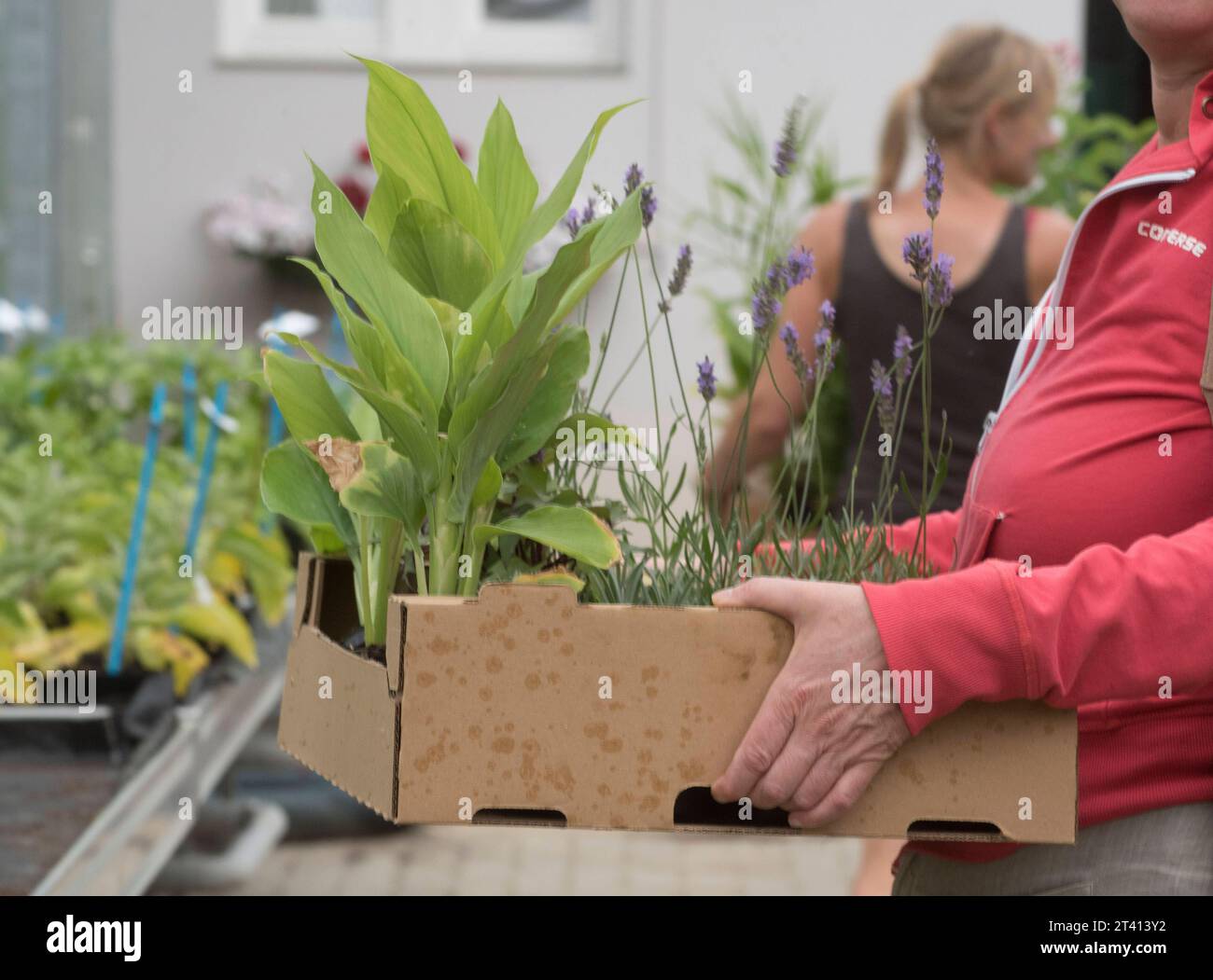 Masse der erde hi-res stock photography and images - Alamy