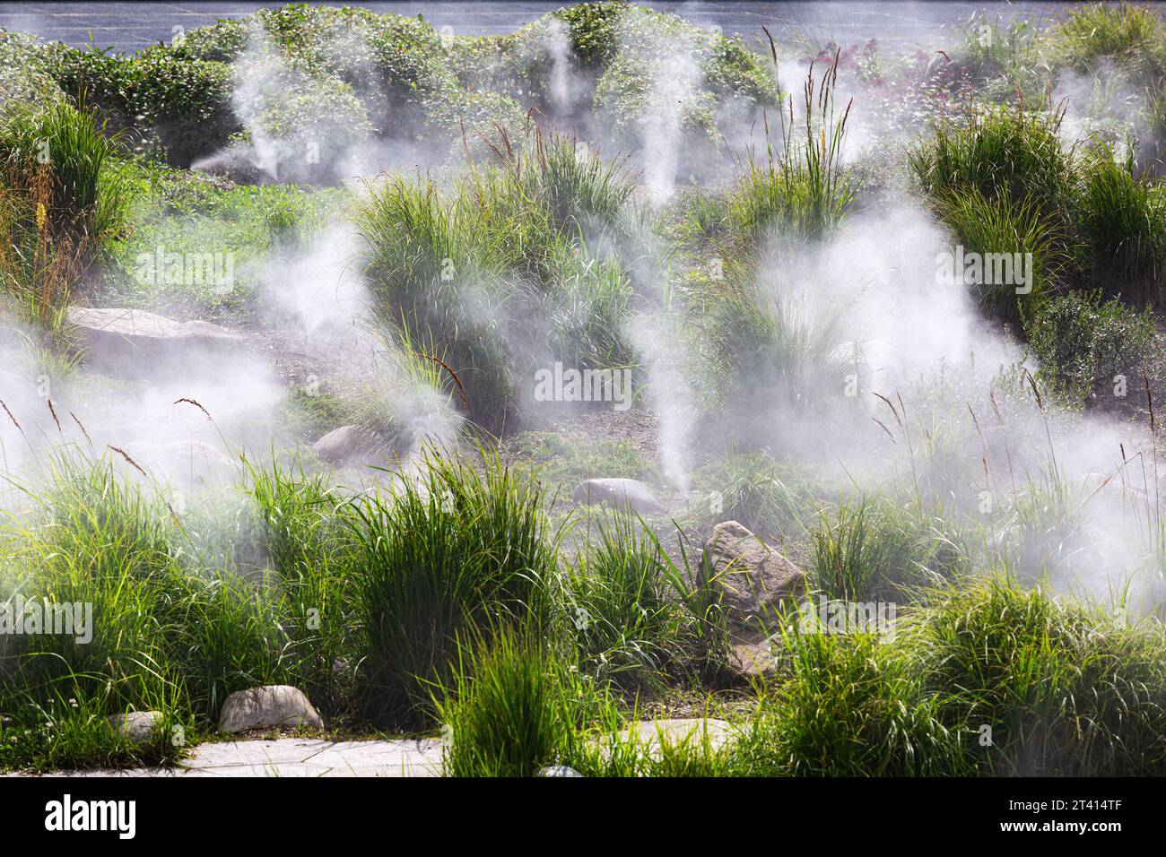 automatic irrigation with water spraying on the landscape design of the ...