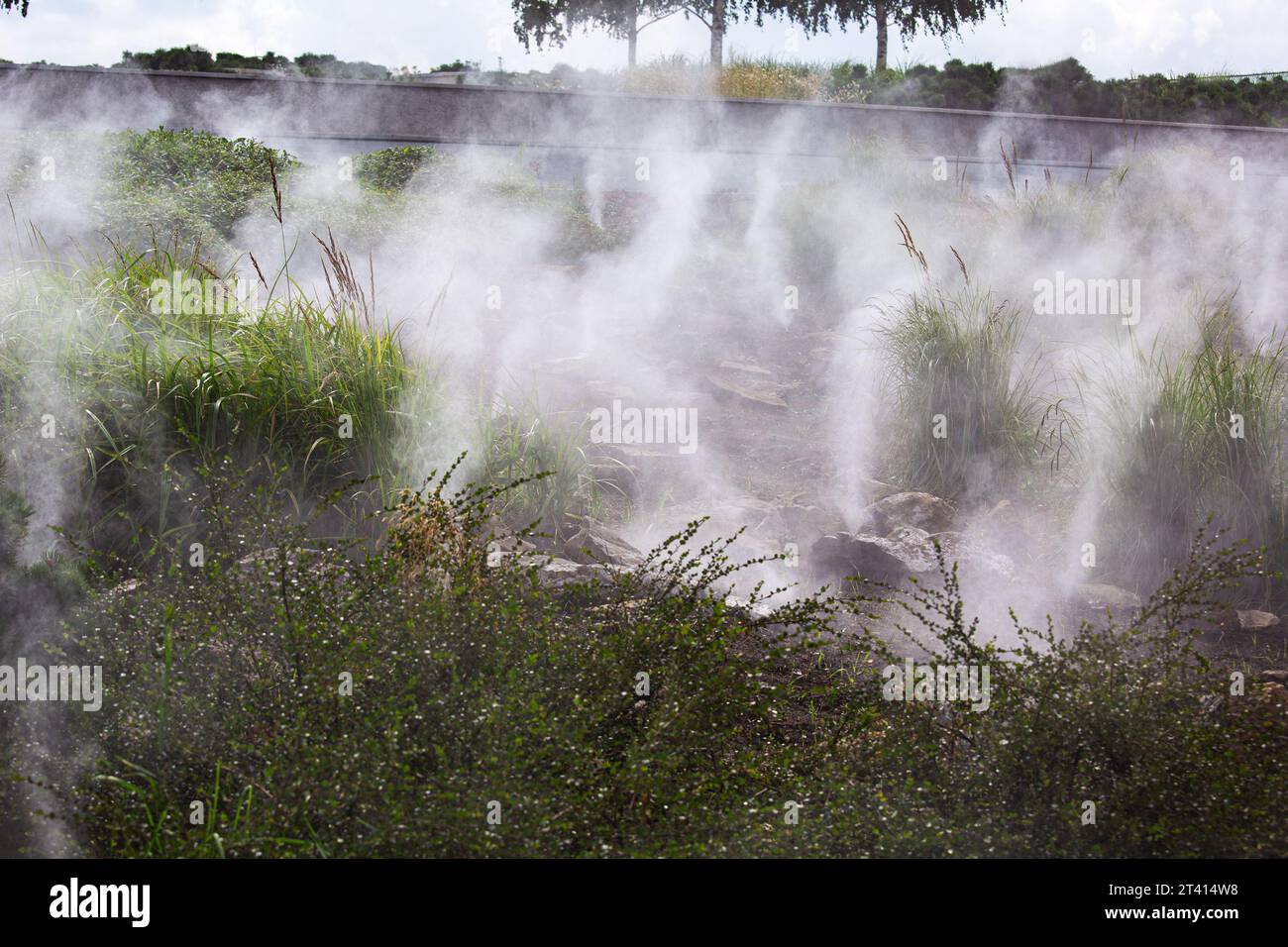 future watering with spraying water on the landscape design of the park ...