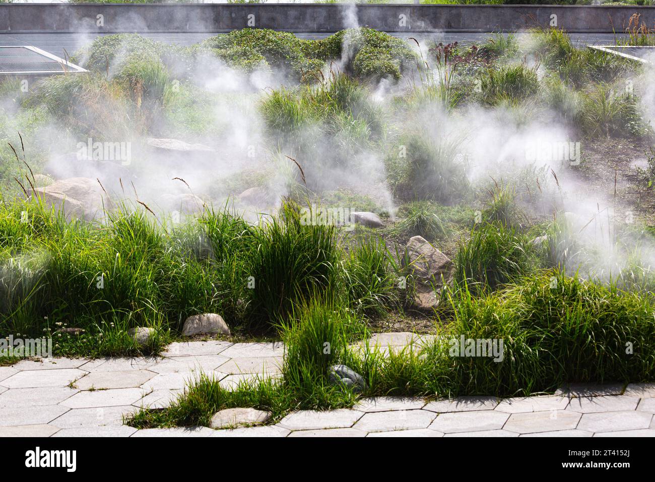 irrigation with water spraying on the landscape design of hardscape ...