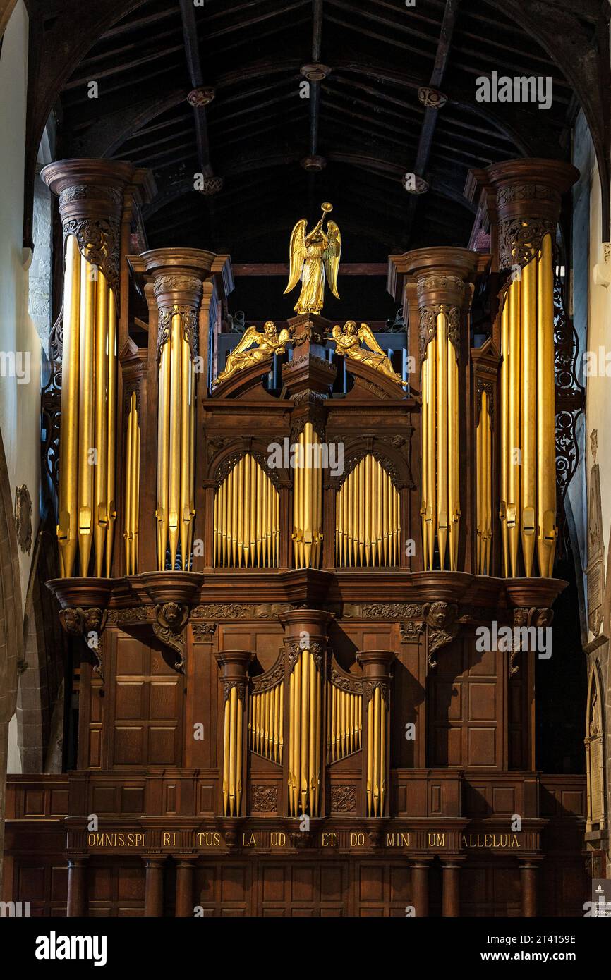 Grand organ of Newcastle Cathedral Stock Photo - Alamy