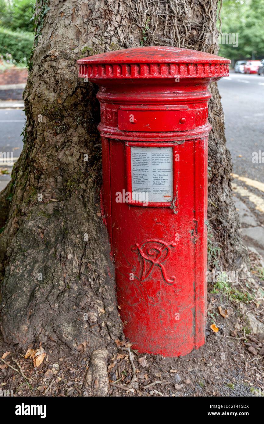120 year old tree trunk hi-res stock photography and images - Alamy