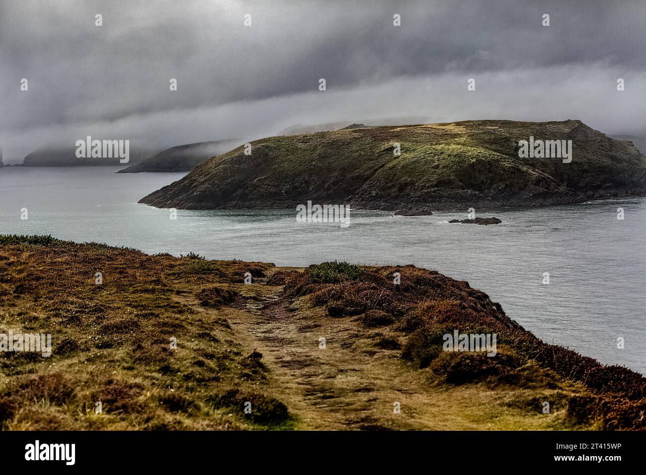 From wooltack point hi-res stock photography and images - Alamy