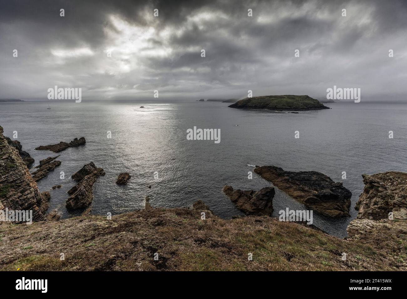 From wooltack point hi-res stock photography and images - Alamy