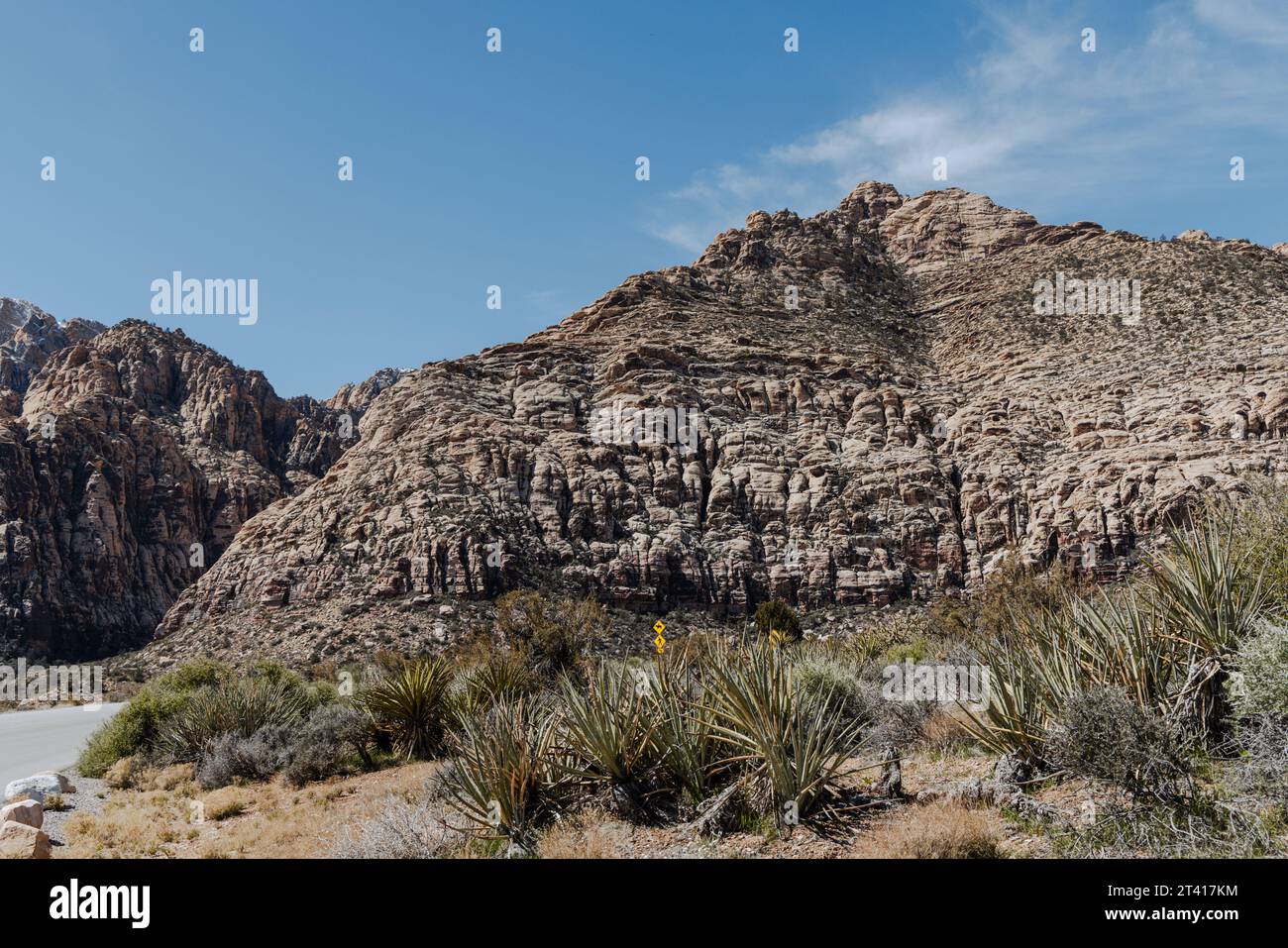 Desert plants by the roadside in Red Rock Canyon National Conservation ...