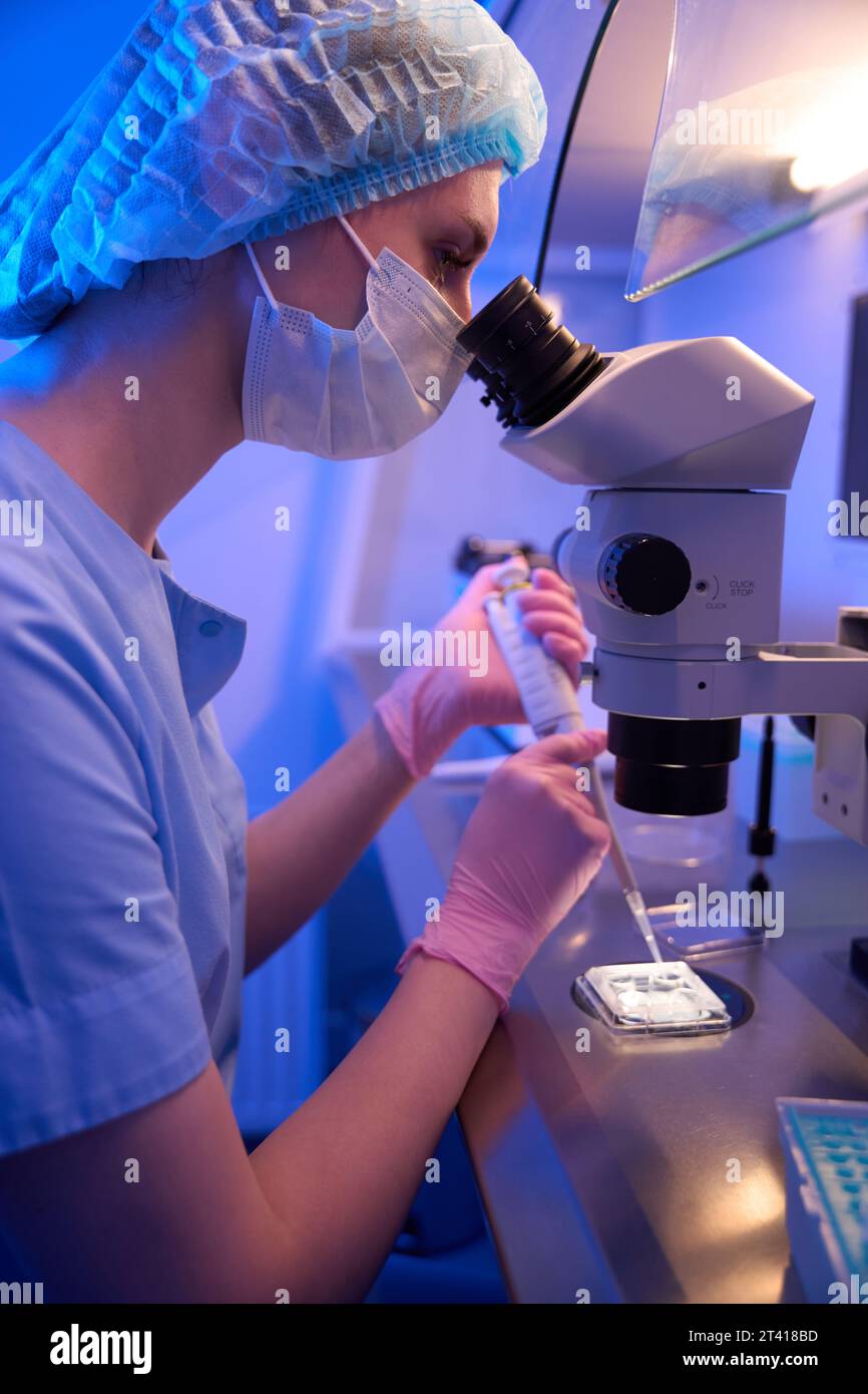 Experienced embryologist preparing specimen for microscopic examination ...