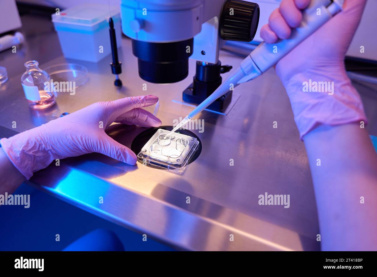 Qualified embryologist preparing biological material for microscopic ...