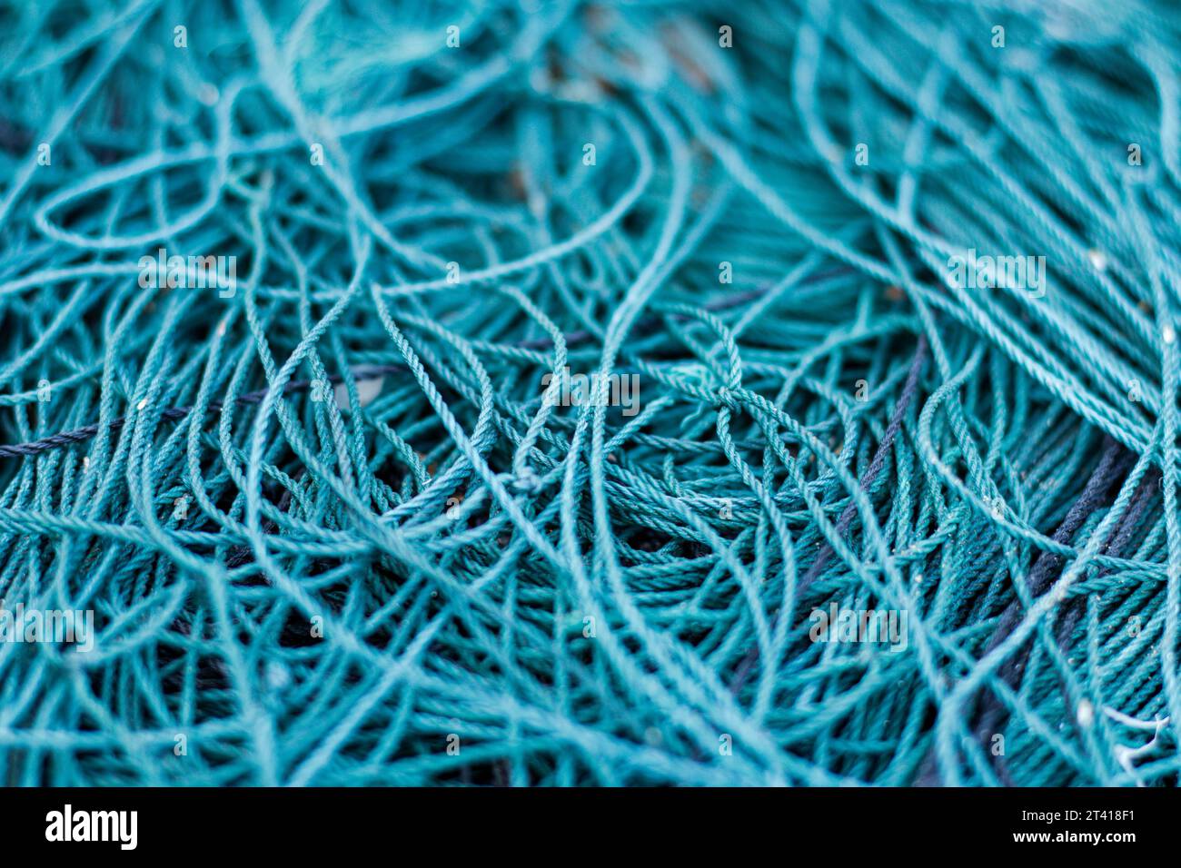 Tangled up net hi-res stock photography and images - Alamy