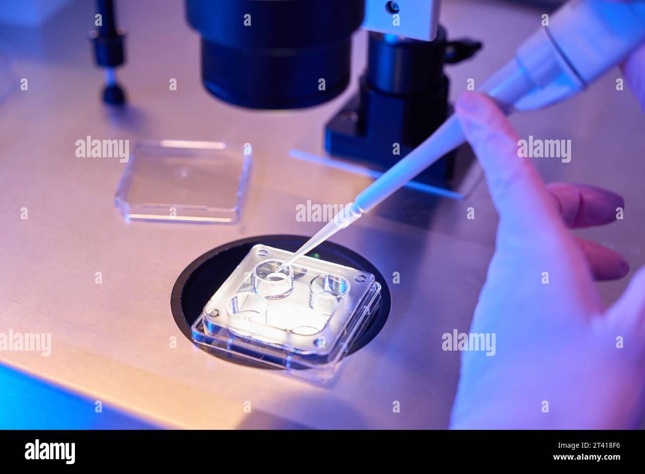 Researcher in sterile glove preparing test samples for microscopic ...