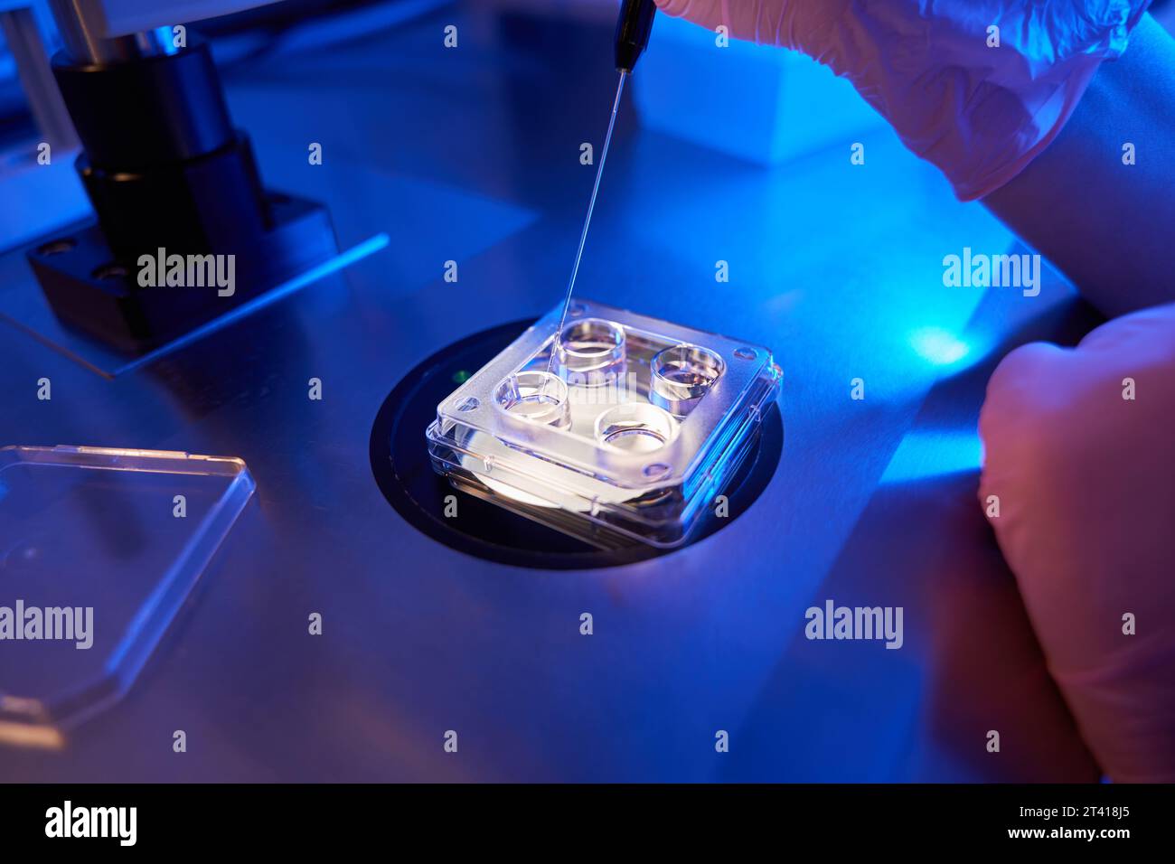 Microscopic biological specimens hi-res stock photography and images ...