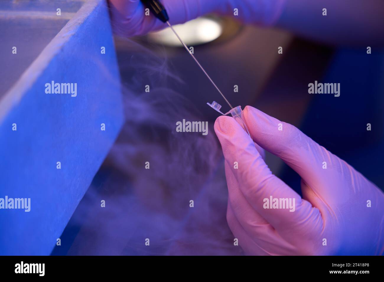 Lab scientist preparing cell samples for cryopreservation Stock Photo ...