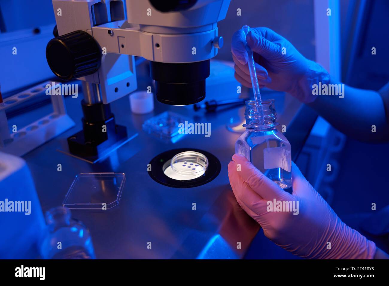 Researcher drawing up solution into eye dropper at laboratory Stock ...