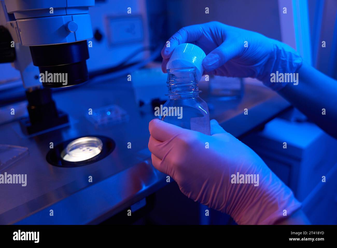 Embryologist using mineral oil overlay for cells in culture dish Stock ...
