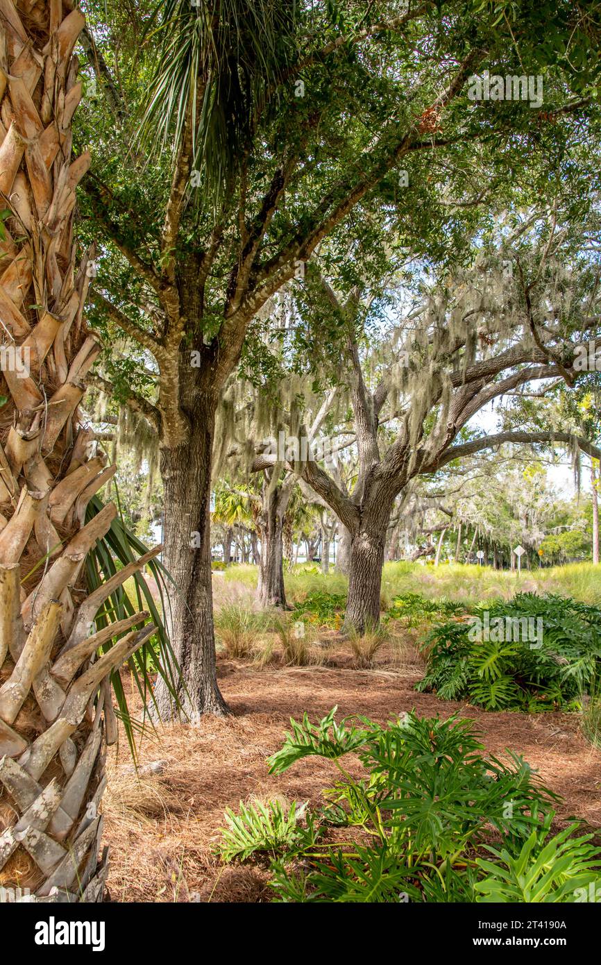 Bradenton, Florida, Manatee County-Scenes around Bradenton Riverwalk ...