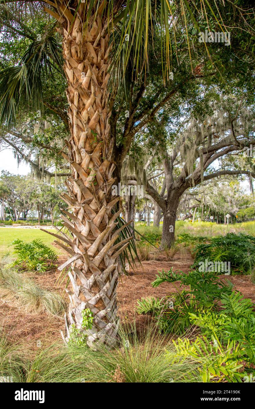 Bradenton, Florida, Manatee County-Scenes around Bradenton Riverwalk ...