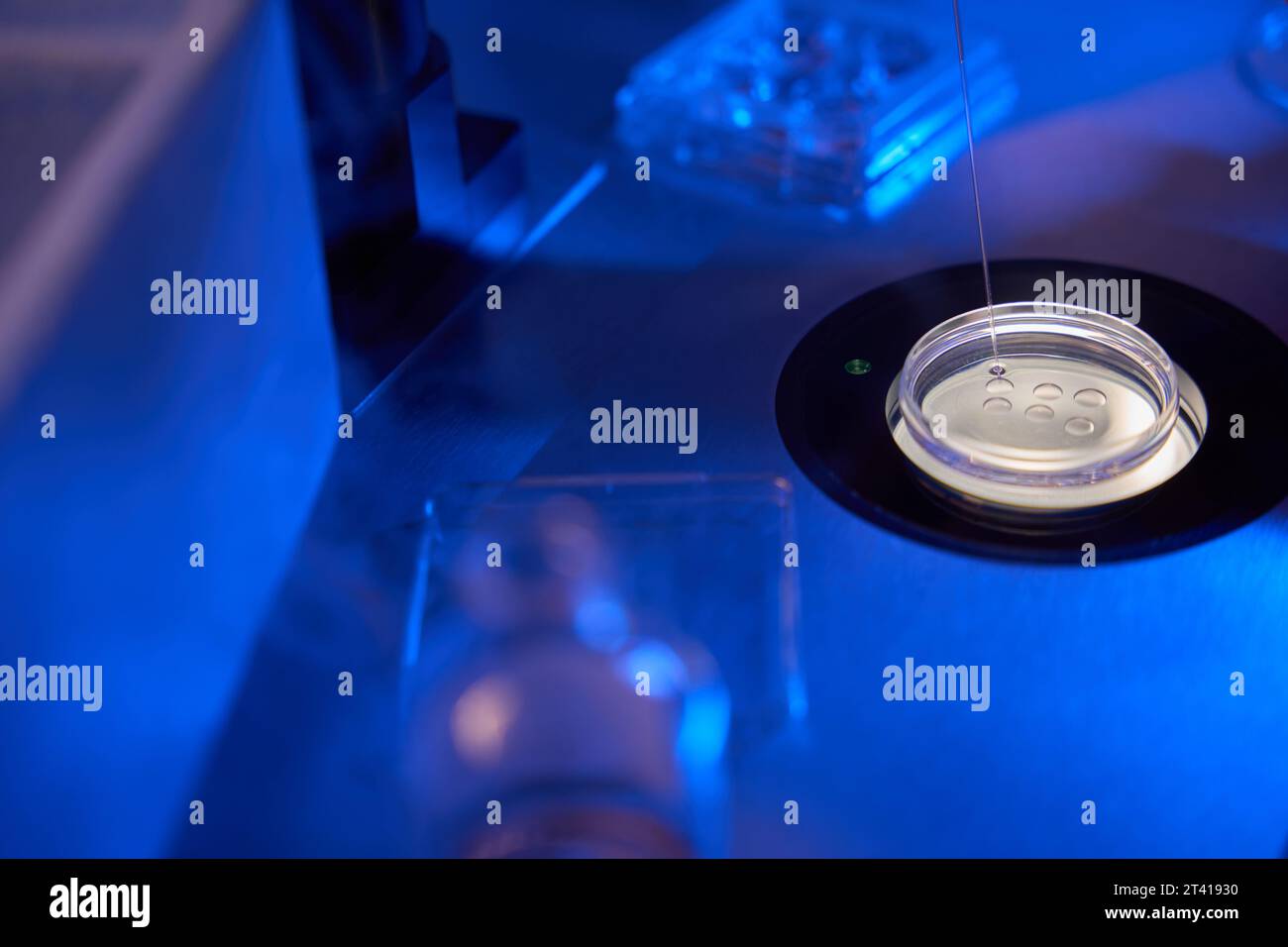 Cell sample aspiration process before cryopreservation procedure Stock ...