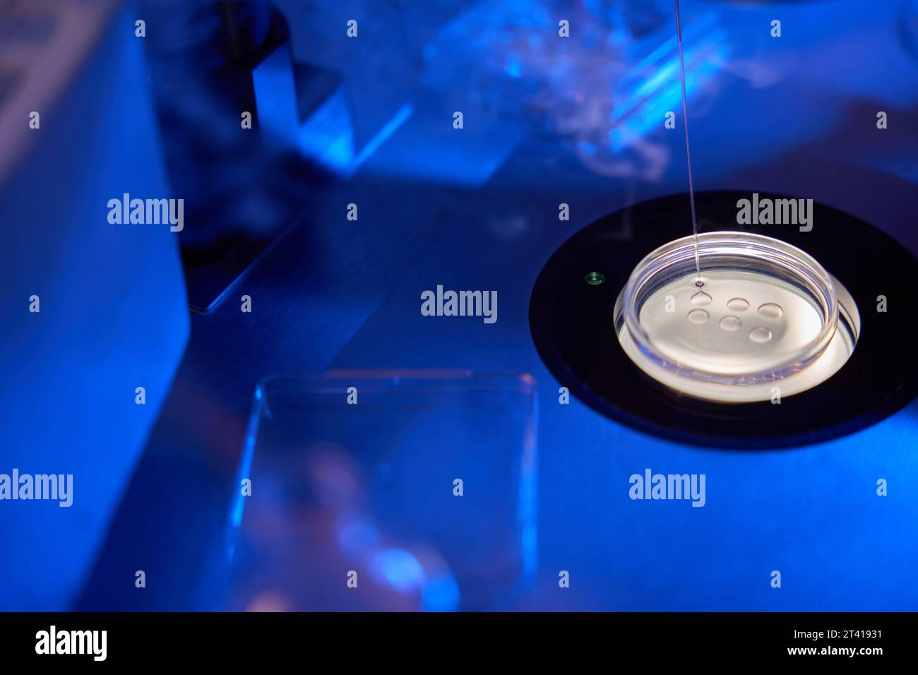 Embryo sample collection process before vitrification procedure Stock ...