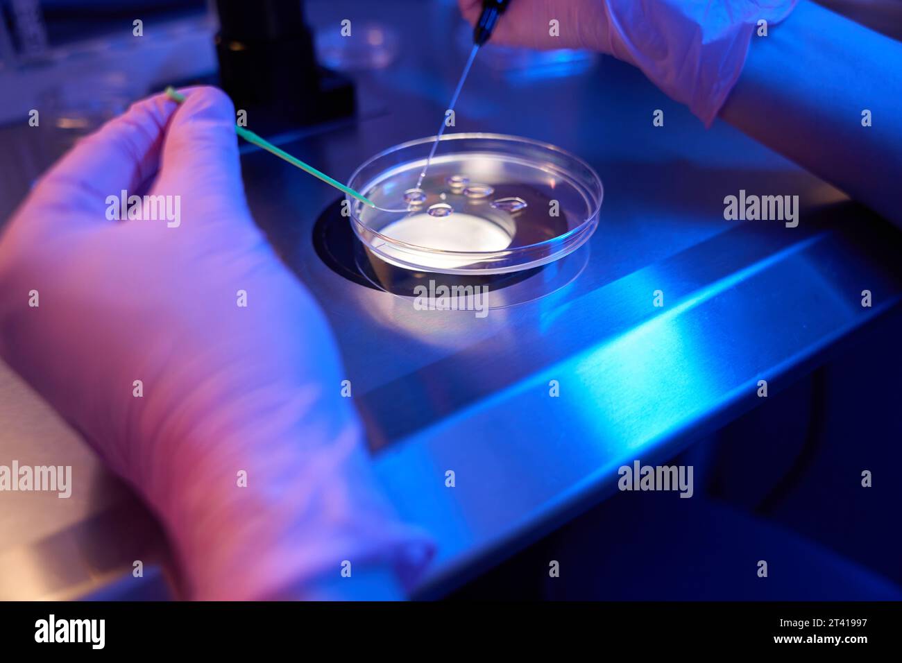 Sperm sample dish hi-res stock photography and images - Alamy