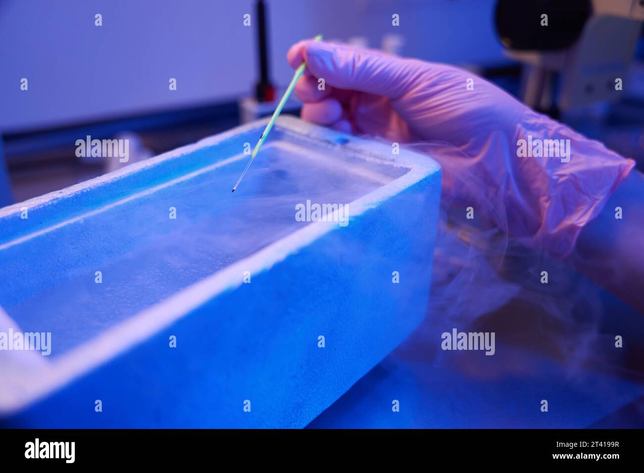 Embryologist performing embryo cryopreservation procedure in lab Stock ...