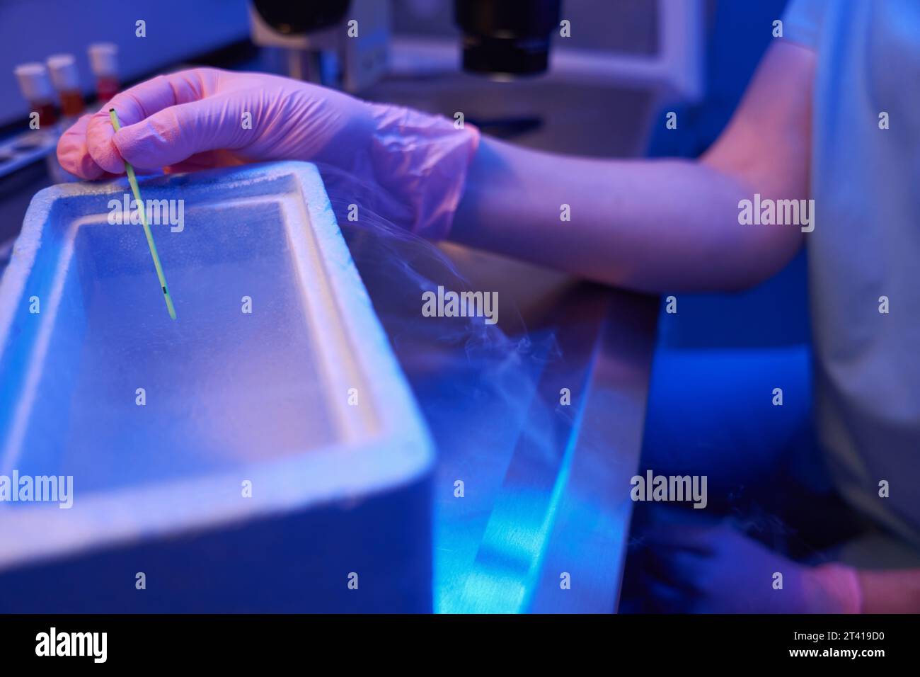 Lab scientist carrying out embryo cryopreservation procedure Stock ...