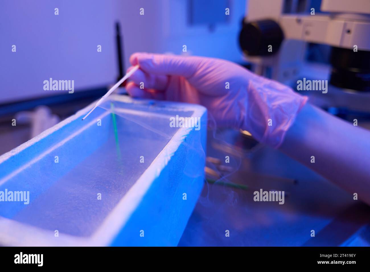 Biological sample freezer hi-res stock photography and images - Alamy