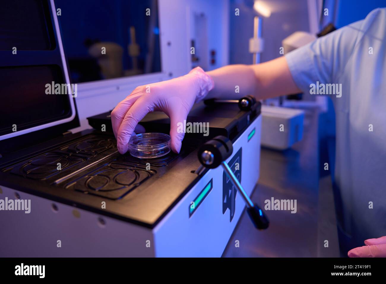 Experienced embryologist is growing embryos in embryology lab Stock ...