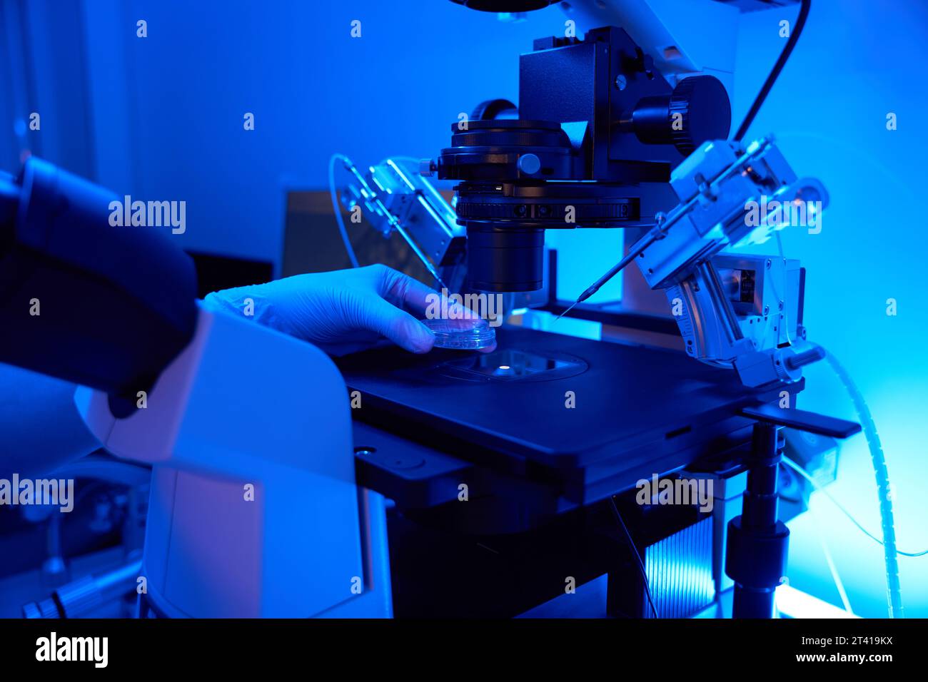 Lab scientist preparing for cell manipulation with micromanipulator ...