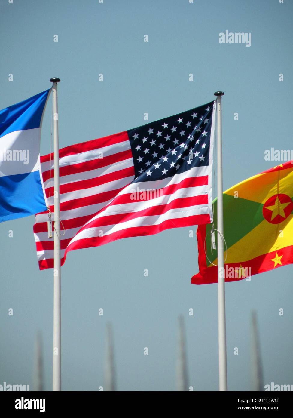United States flag in the center along with other flags of different ...