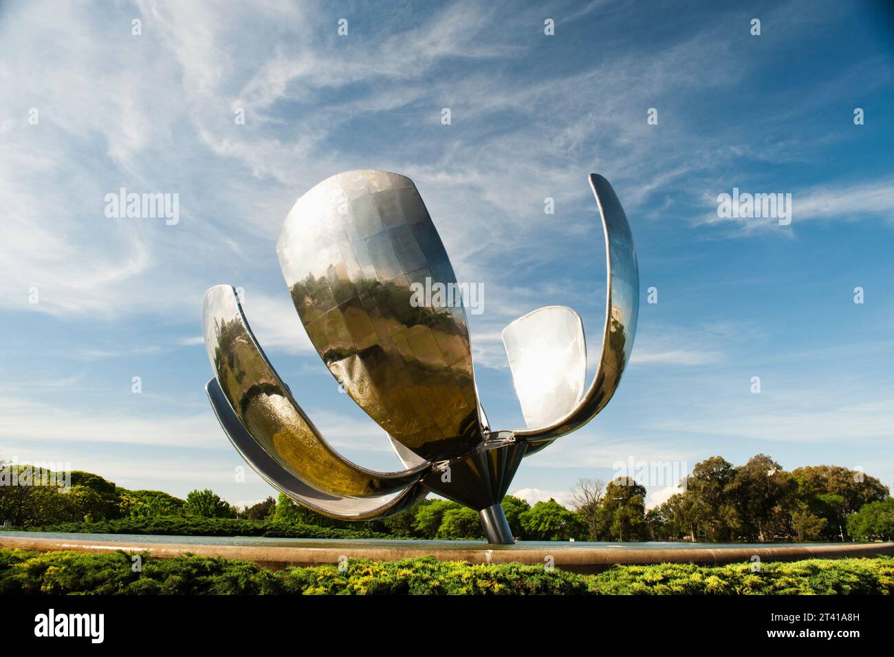 Floralis generica, buenos aires hi-res stock photography and images - Alamy