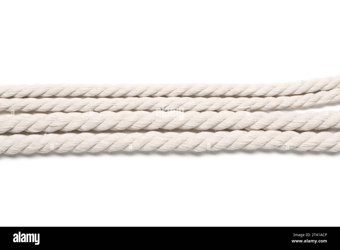 Long ropes on white background Stock Photo - Alamy