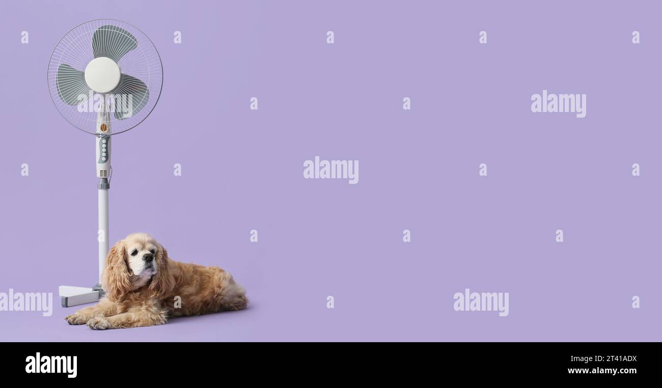 Cute dog and electric fan on lilac background with space for text Stock ...