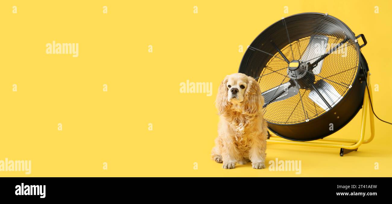 Cute dog and electric fan on yellow background with space for text ...