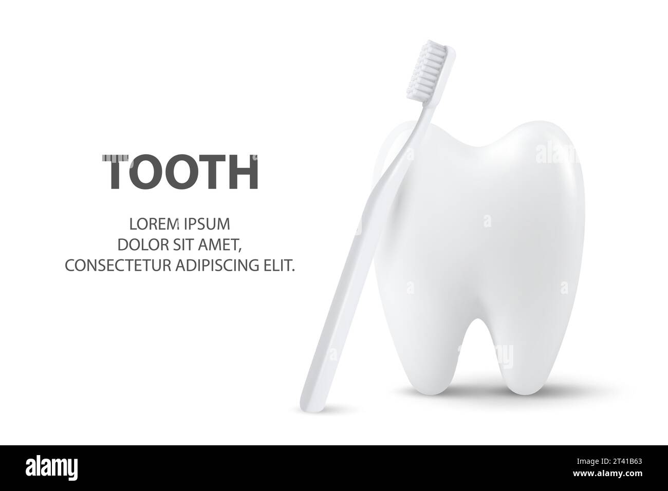 Vector 3d Realistic Tooth and Toothbrush Closeup Isolated on White ...