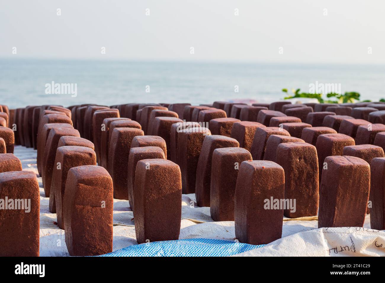 shrimp paste block made traditionally and sun-dried outdoors Stock ...