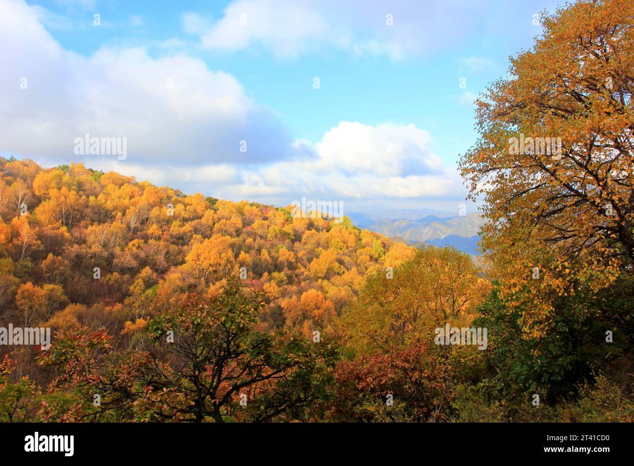 mountain natural scenery, closeup of photo Stock Photo - Alamy