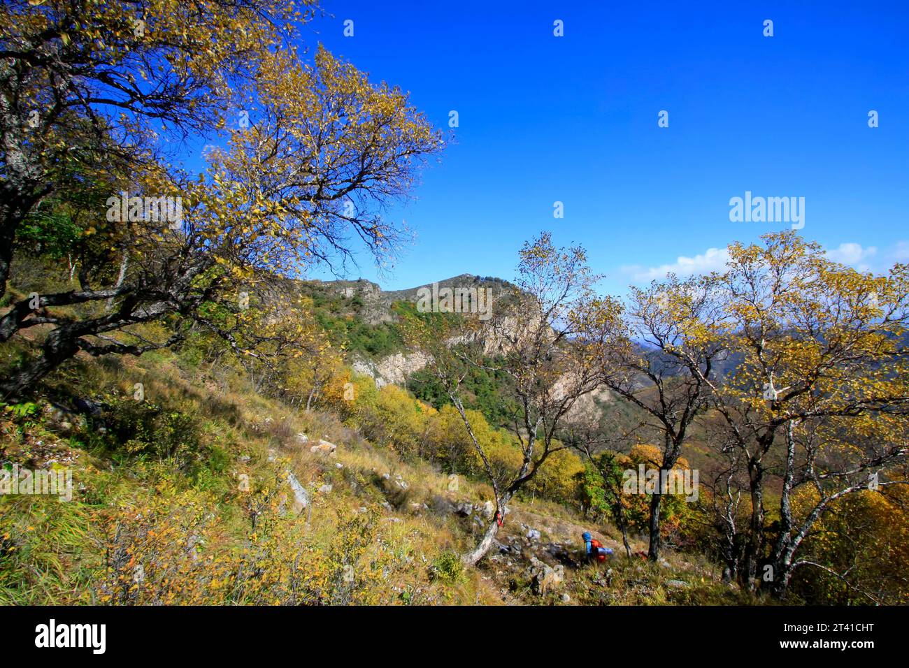 mountain natural scenery, closeup of photo Stock Photo - Alamy