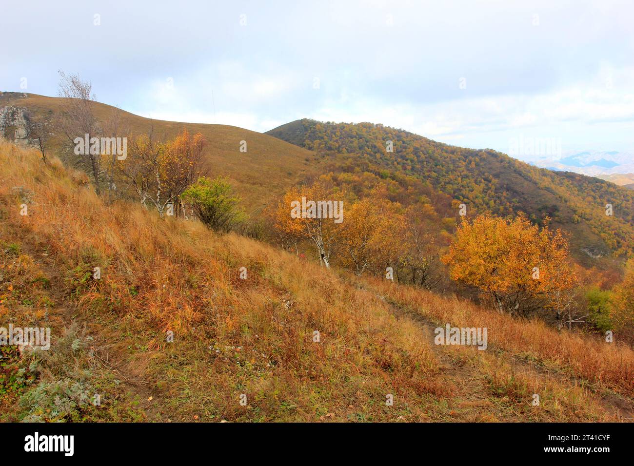 mountain natural scenery, closeup of photo Stock Photo - Alamy