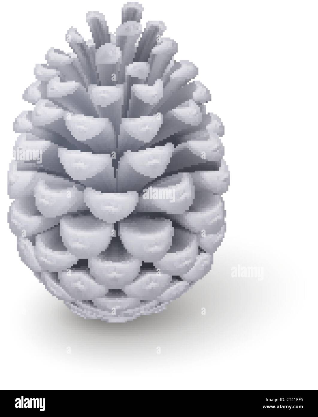 Silver Dry Pine Cone. Single Decorative Woody Fruit of a Conifer Tree ...